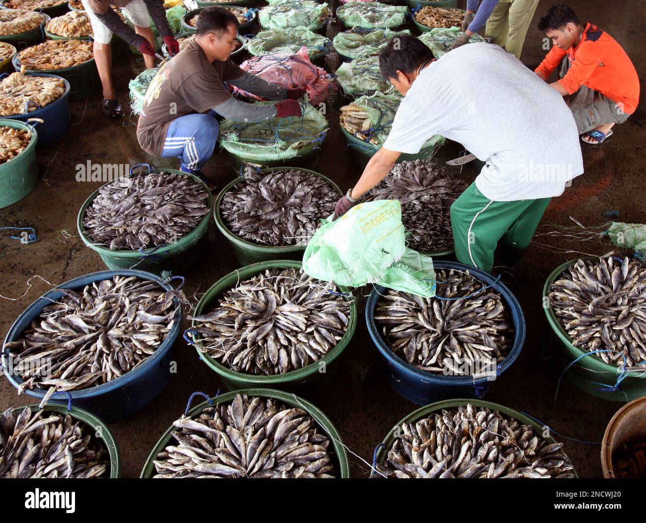 Workers prepare containers full of dried fish for sale two days after a ...