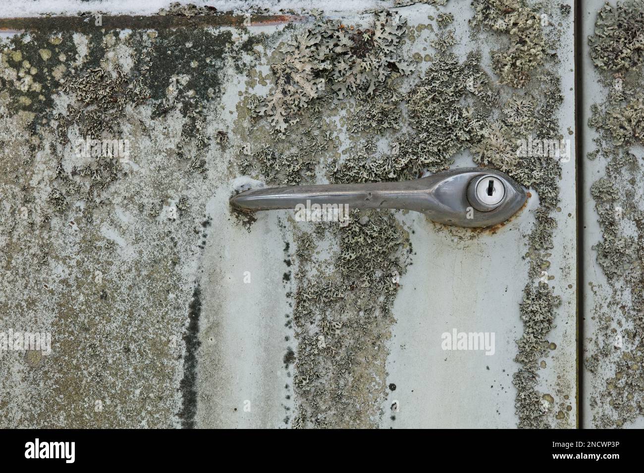 Door with moss on abandoned truck Stock Photo - Alamy