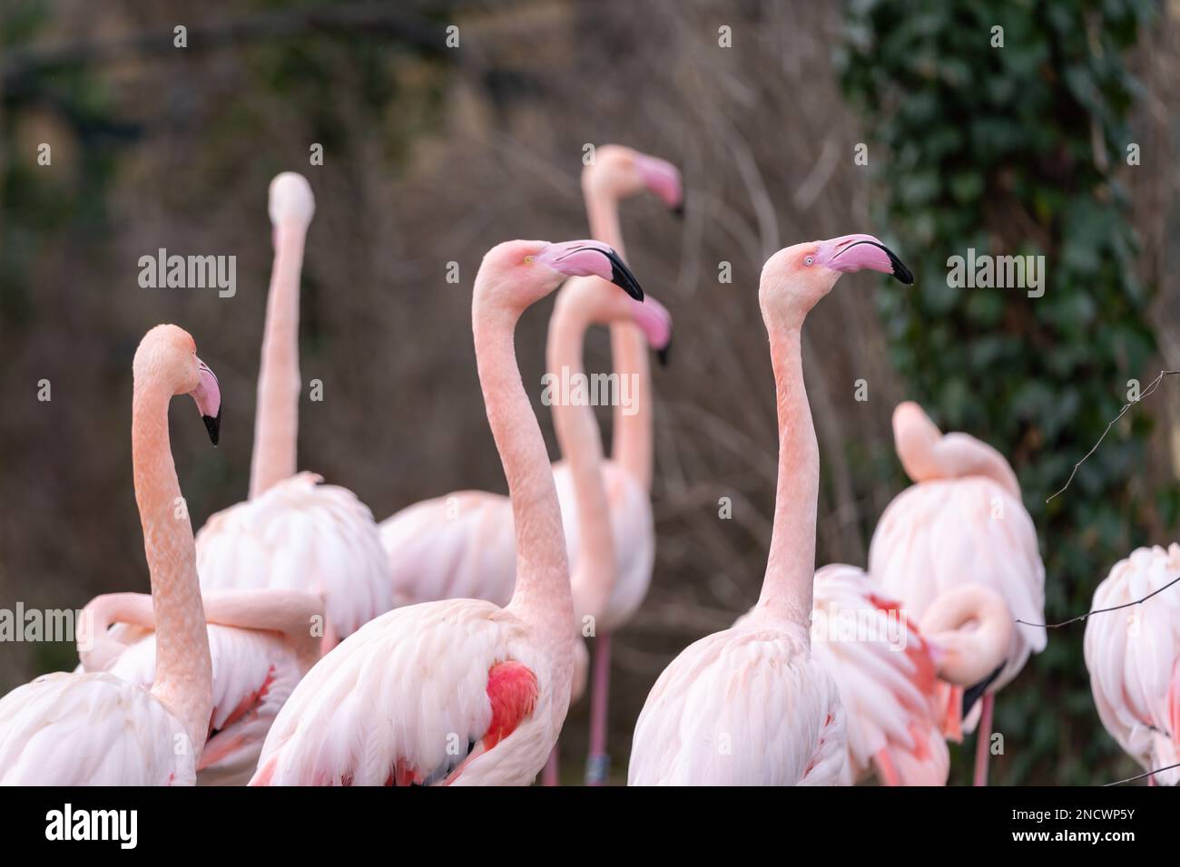 National park https hi-res stock photography and images - Alamy