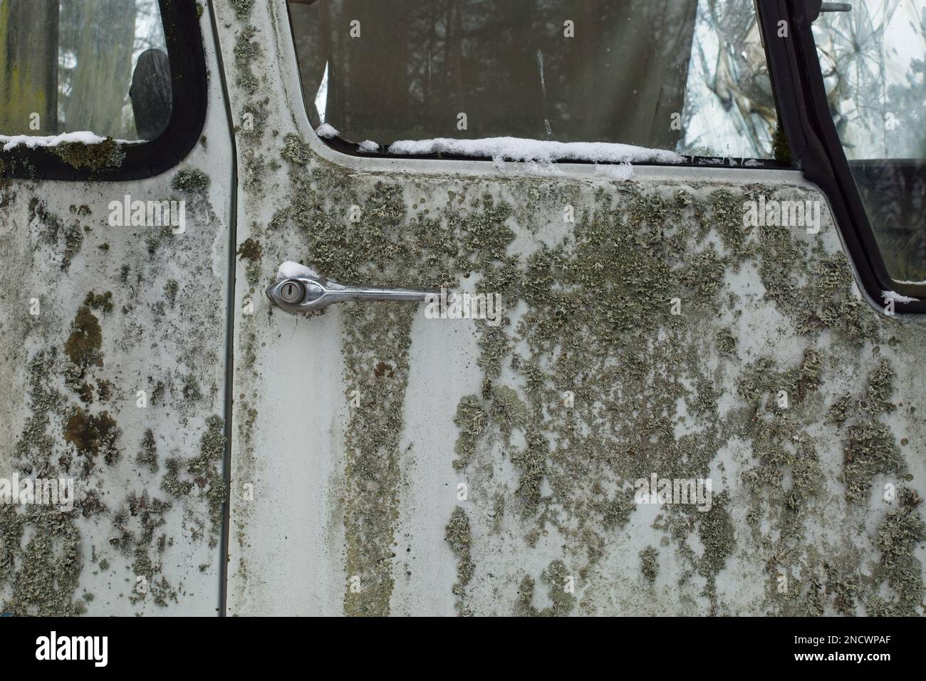 Door with moss on abandoned truck Stock Photo - Alamy