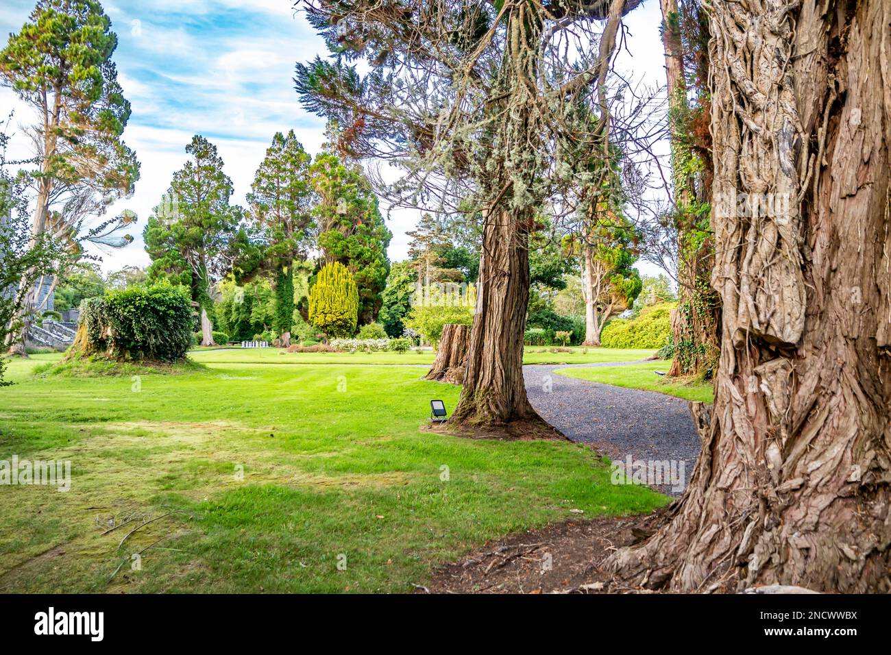 Colooney hi-res stock photography and images - Alamy