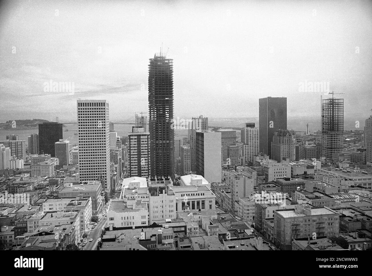 A 1,000 pound steel beam, accompanied by a six foot pine tree and an ...