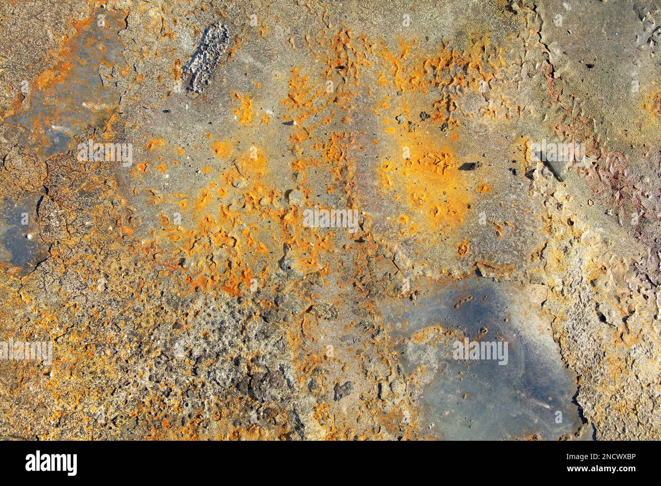 Closeup of wrecked abandoned burnt cars metal panel with fire damage ...