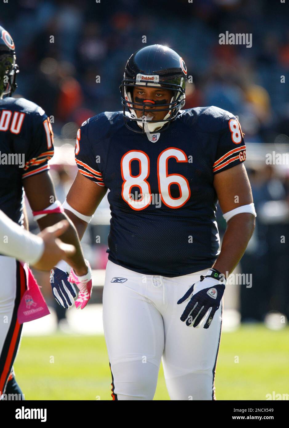 Chicago Bears tight end Brandon Manumaleuna (86) is seen before an NFL ...