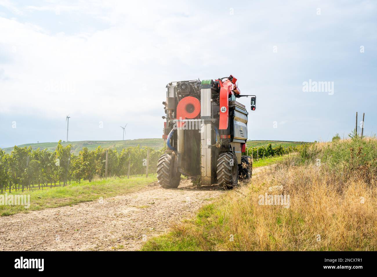 Grape harvest machine on an agricultural path during september next to ...
