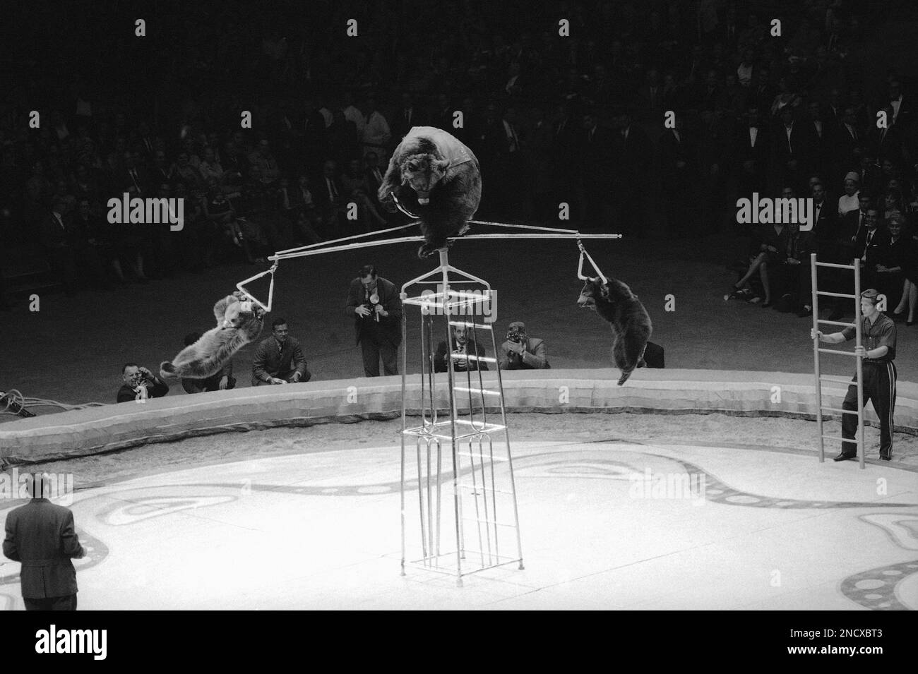Members of the cast of “Circus of Bears” go through their routine as ...