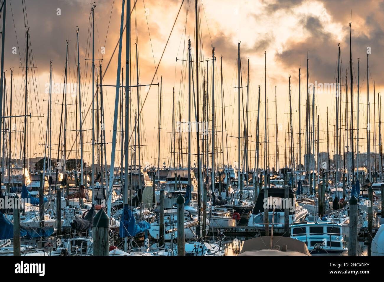 The Viaduct Harbour Marina is situated in the heart of Auckland City ...