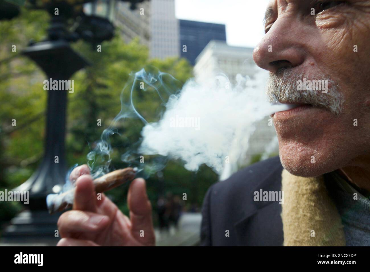 Stephen Helfer, from Cambridge, Mass., smokes a cigar in City Hall Park ...