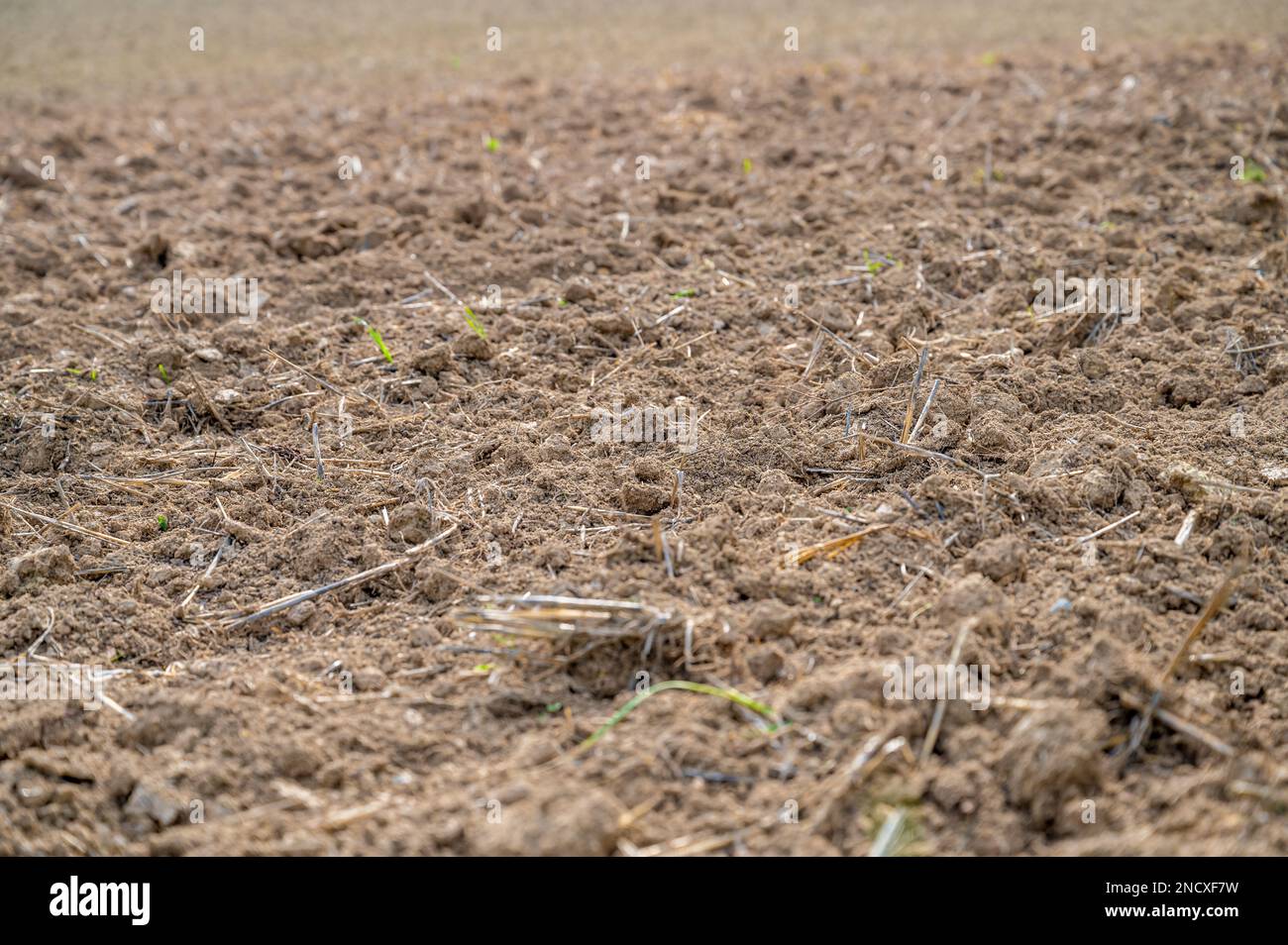 topsoil on an agricultural field background Stock Photo - Alamy