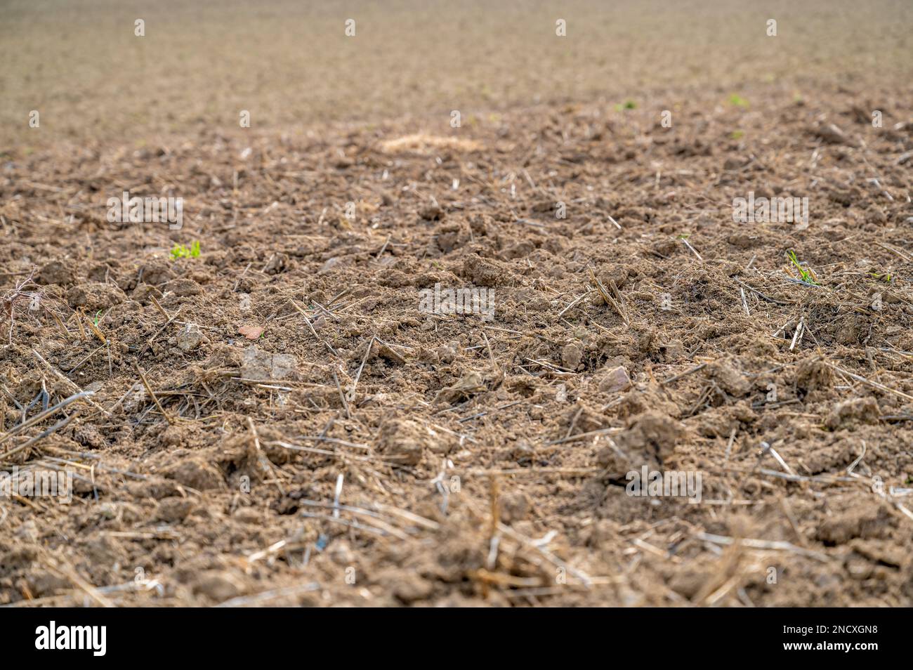 topsoil on an agricultural field background Stock Photo - Alamy