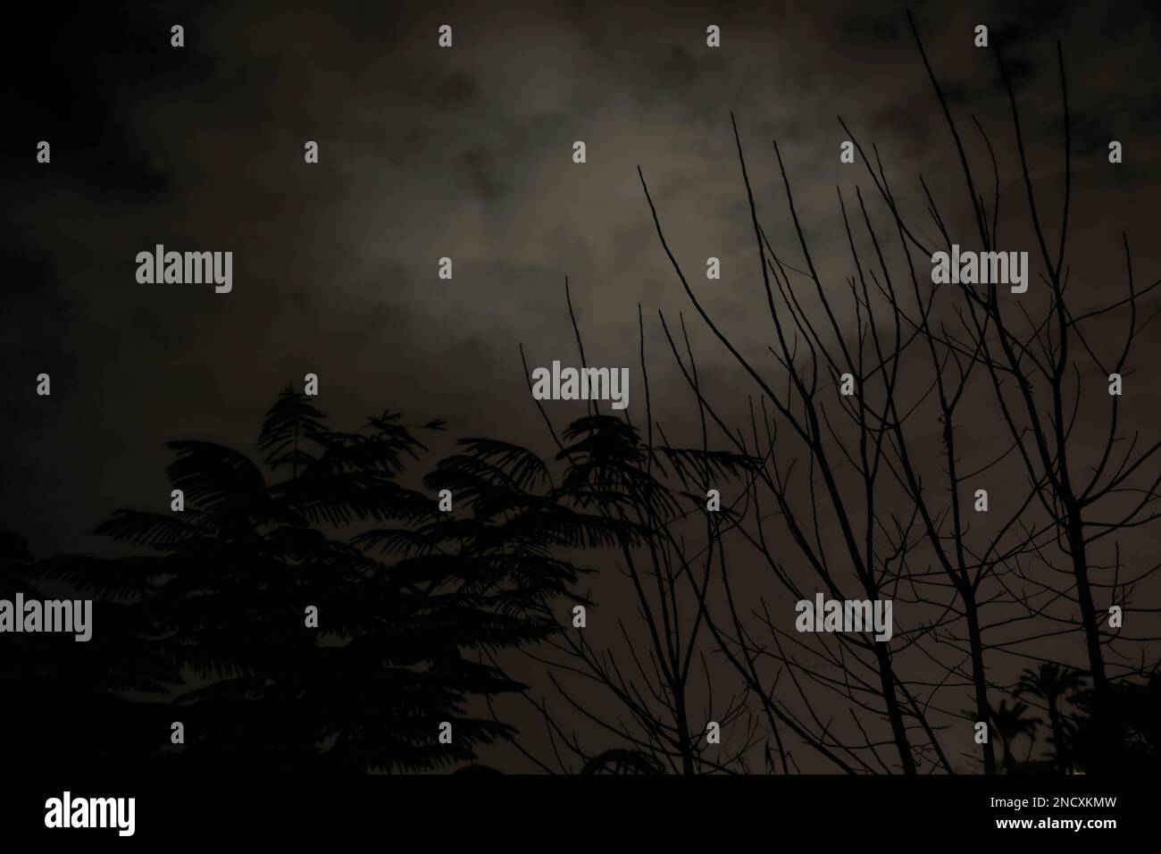 Eerie vibes hi-res stock photography and images - Alamy