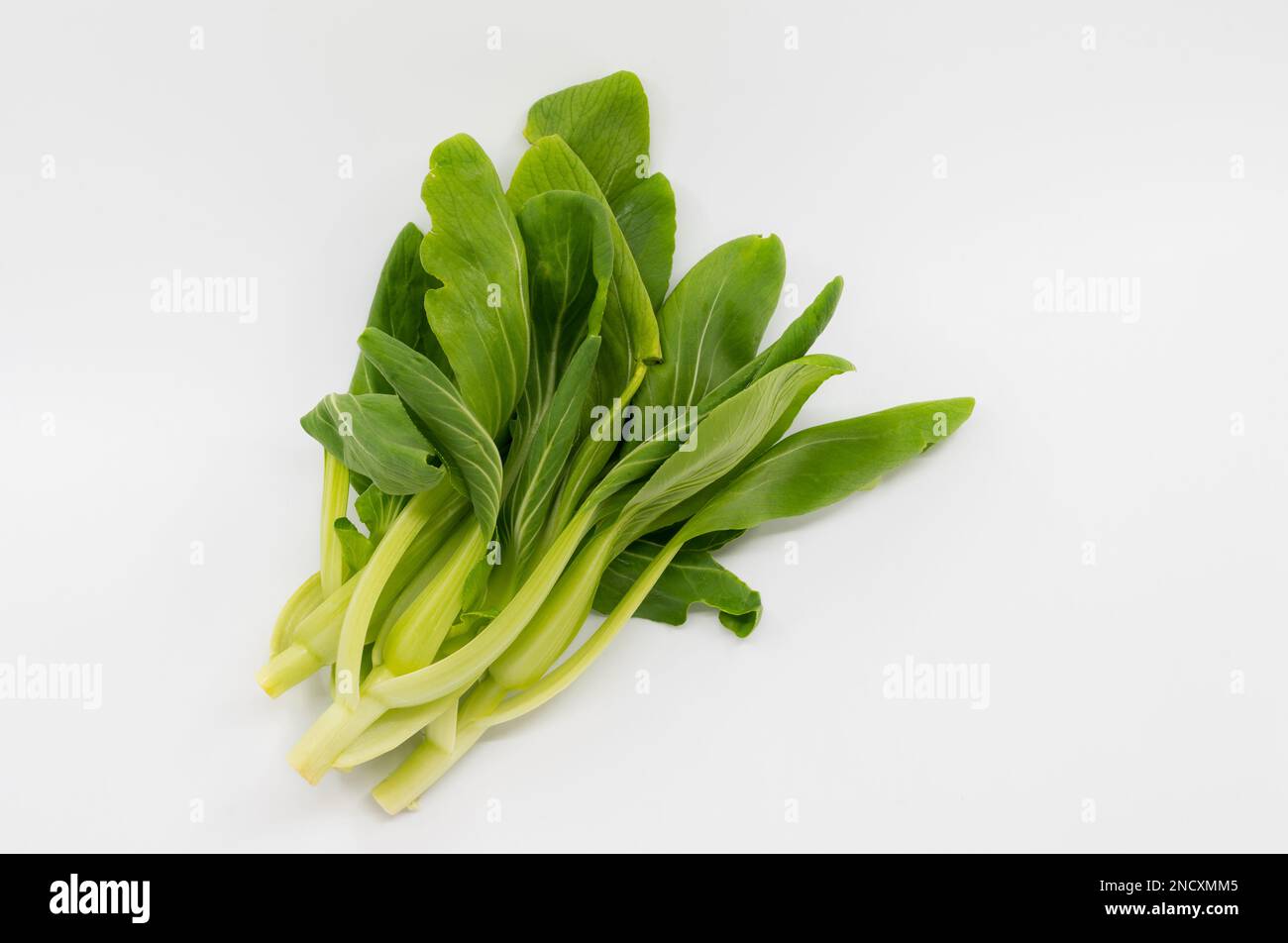 Small group young fresh Pak Chai or Green Pakchoi or Bok Choy, flat lay ...