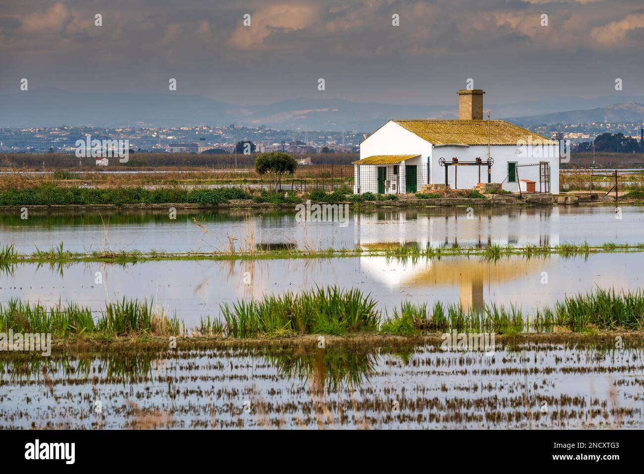 Scenic view of Albufera Natural Park, Valencia, Spain Stock Photo - Alamy