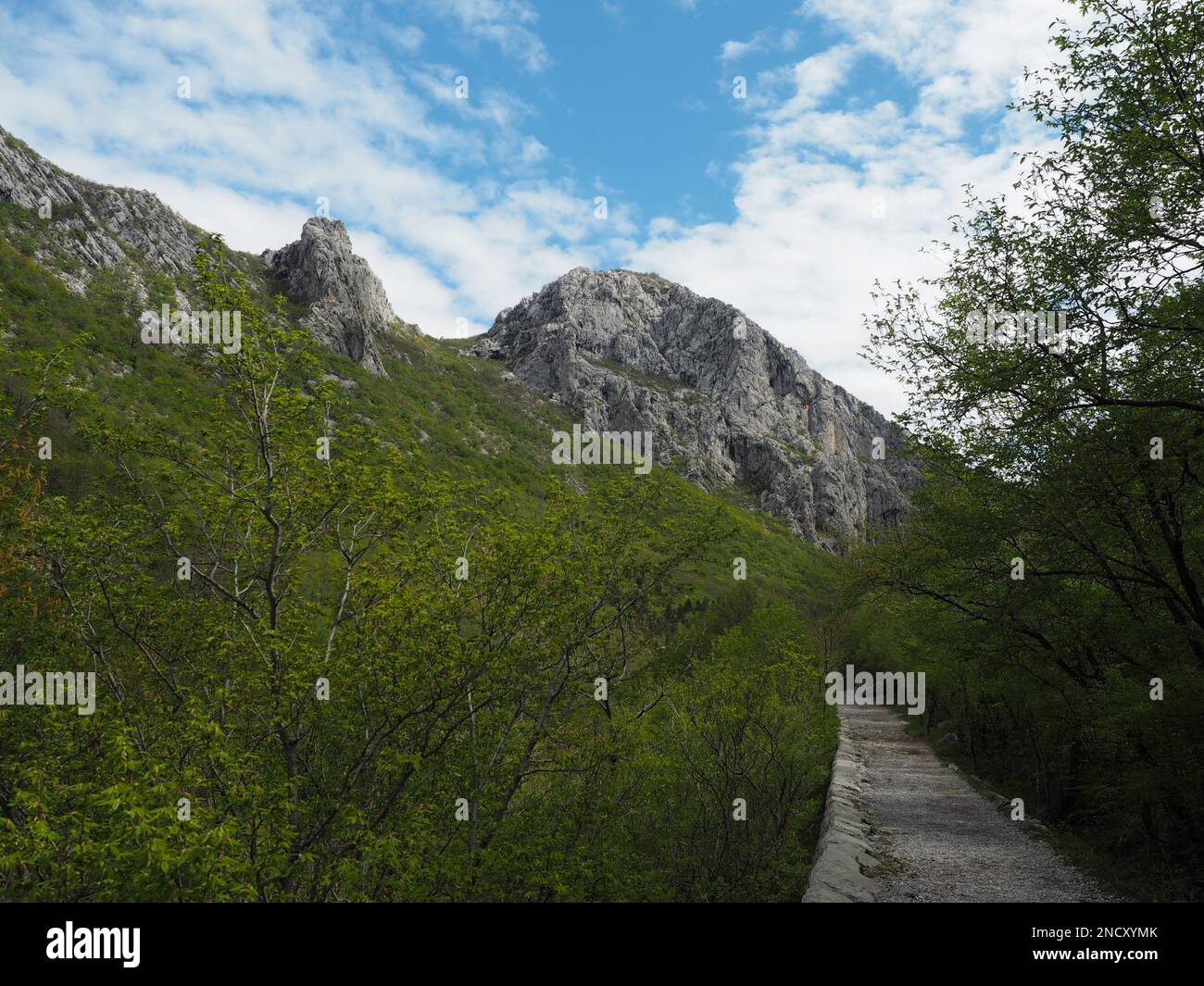 Hiking path, Palenica National Park Stock Photo - Alamy