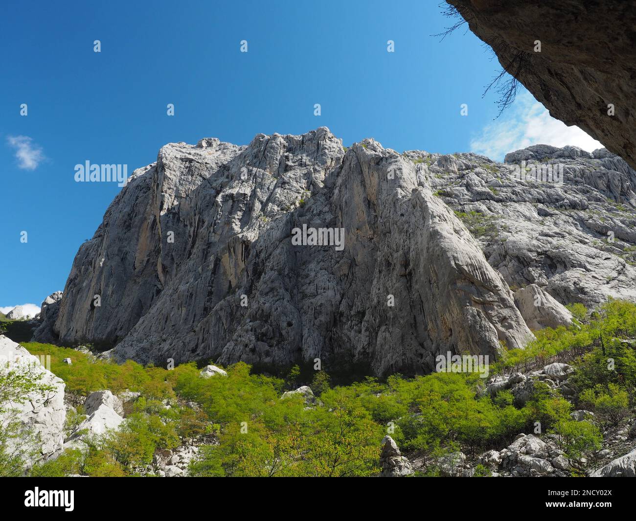 Velebit mountain, Paklenica National Park, Croatia Stock Photo - Alamy