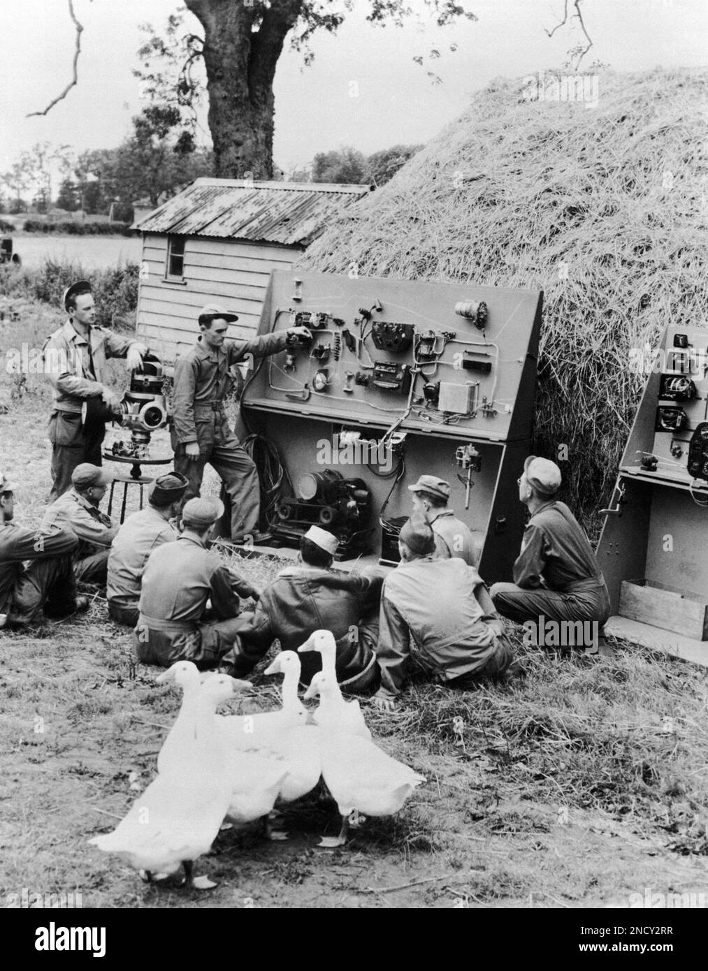 These English geese joined the class as Sergeant James H. Hobbs of ...