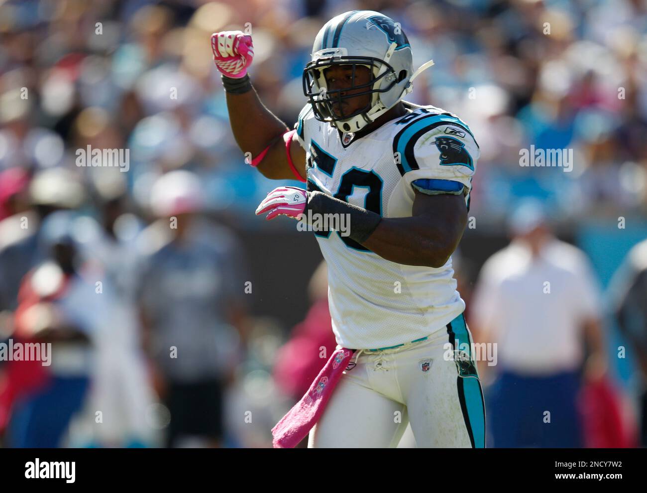 James Anderson Bears