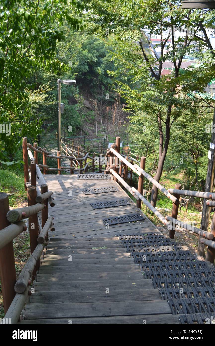 A high-angle of stairs in Naksan park, Seoul, South Korea Stock Photo ...