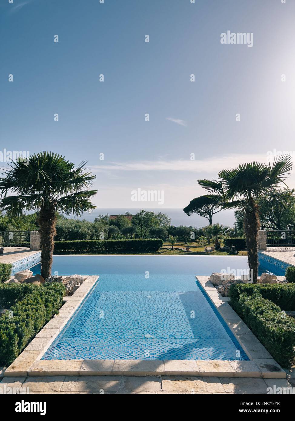 Green trees and bushes grow around the pool with turquoise water Stock ...