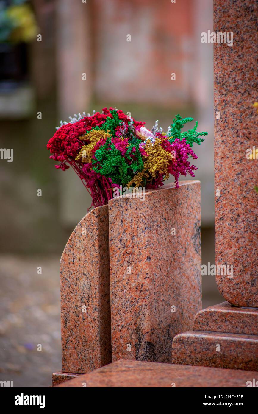 Beautiful flowers on graveyard hi-res stock photography and images - Alamy