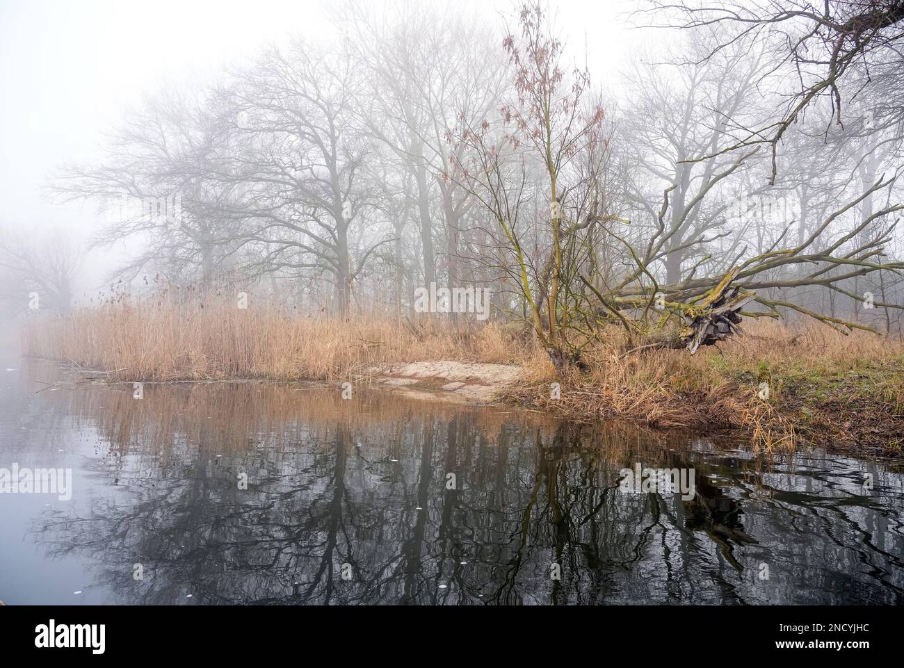 15 February 2023, Brandenburg, Havelaue/Ot Strohdene: Stones were ...