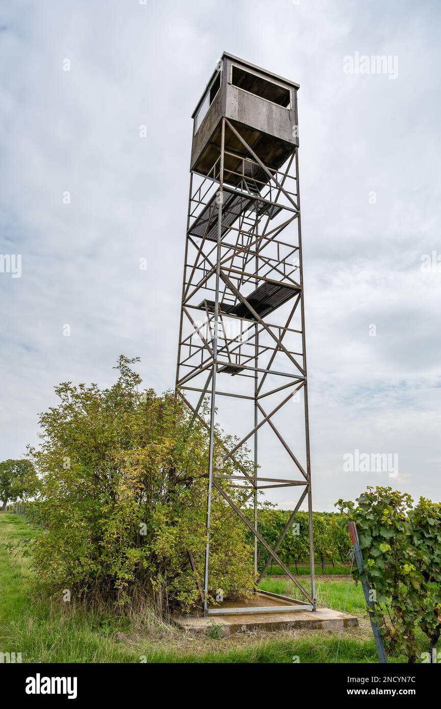 Observation tower made of wood and steel at a vineyard with vine plants ...