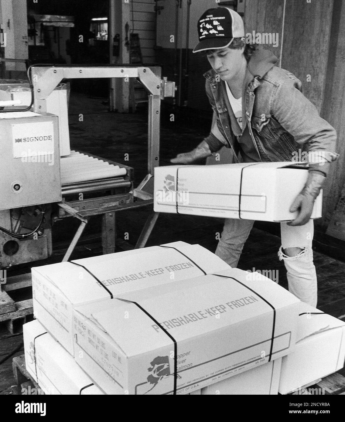 Wrestling 50-pound boxes of salmon for up to 15 hours makes for a long ...