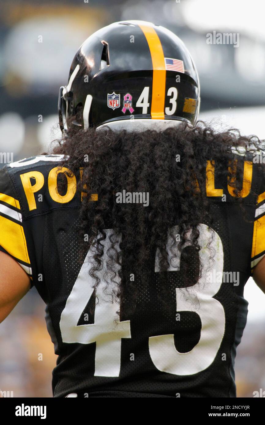 Pittsburgh Steelers safety Troy Polamalu stands on the field during a ...