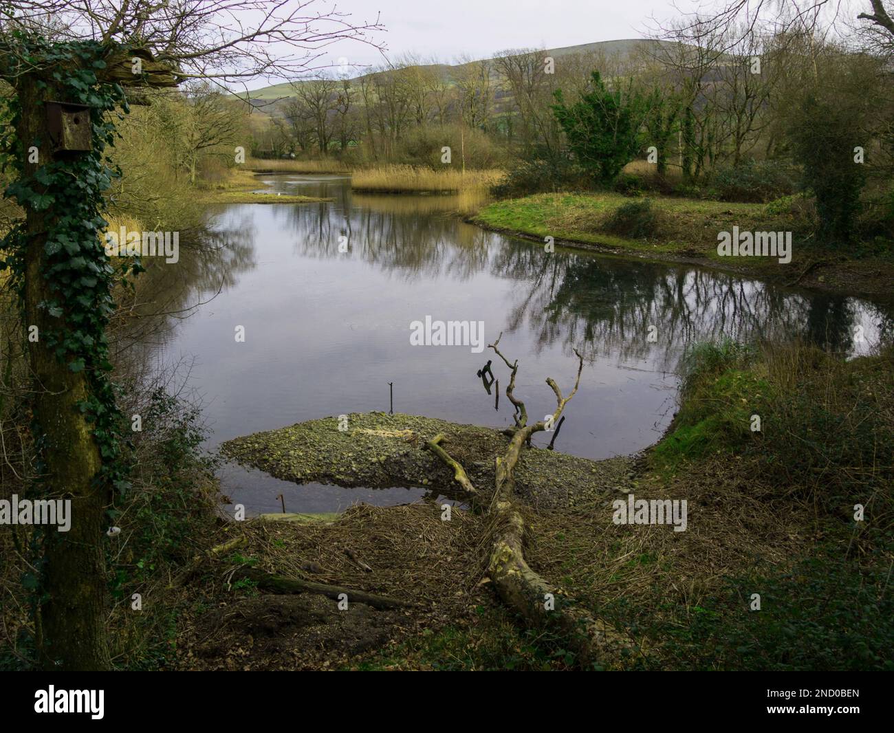 View From One Of The Birdwatching Hides In The Spinnies Nature Reserve