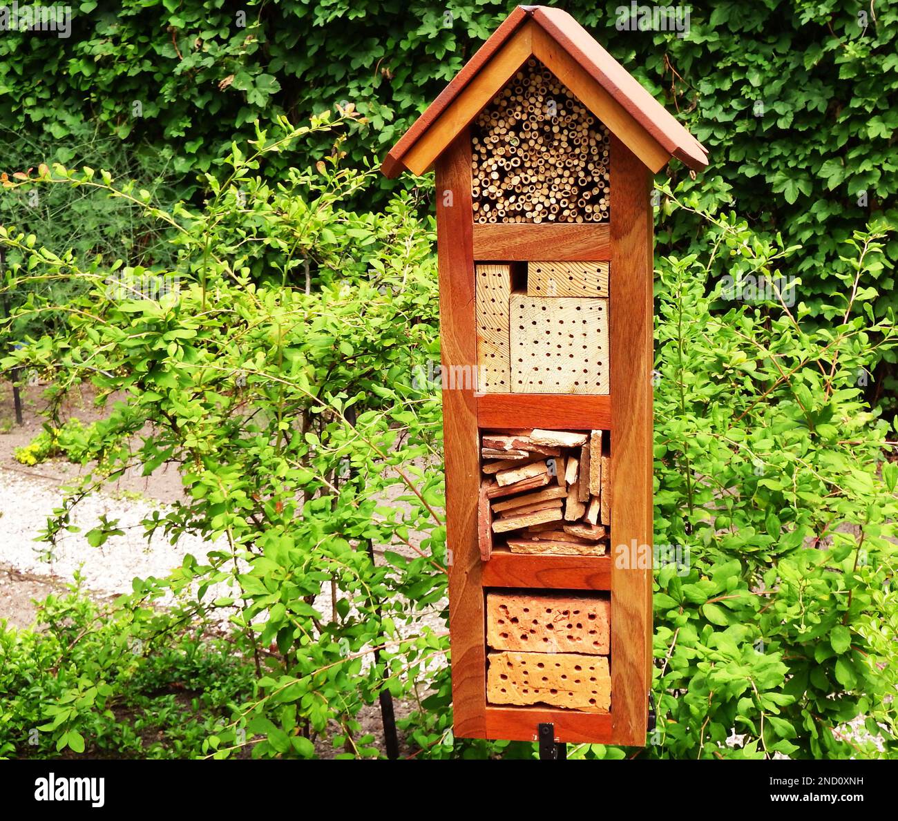 Hotel for beneficial insects hi-res stock photography and images - Alamy