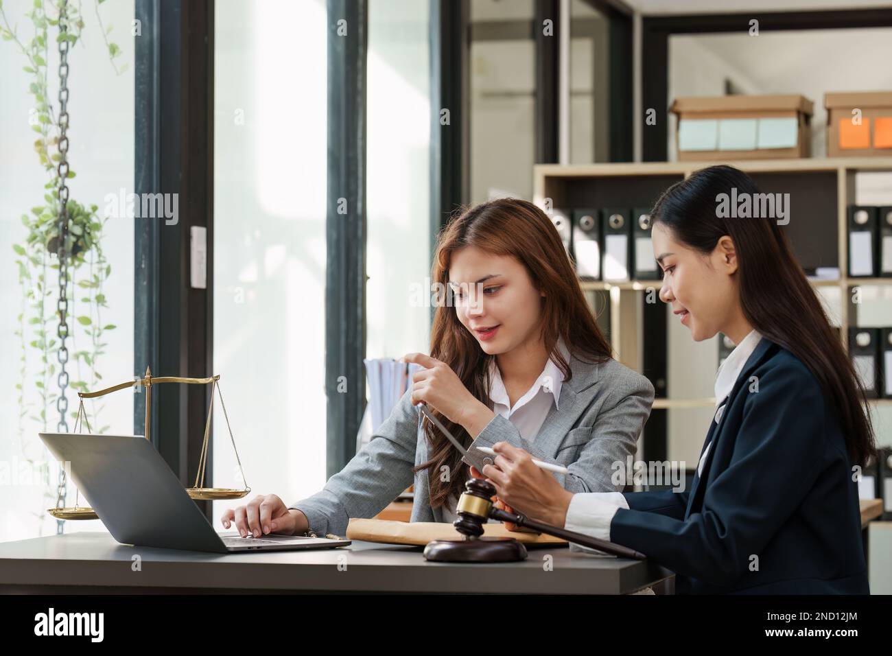 Business lawyer team working together in the private meeting. Law ...