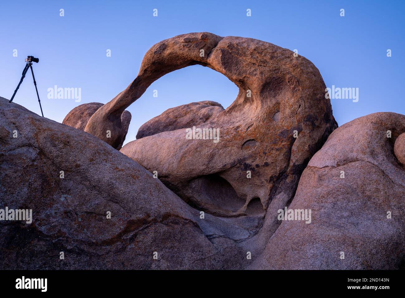 Mobius Arch at dawn Stock Photo - Alamy