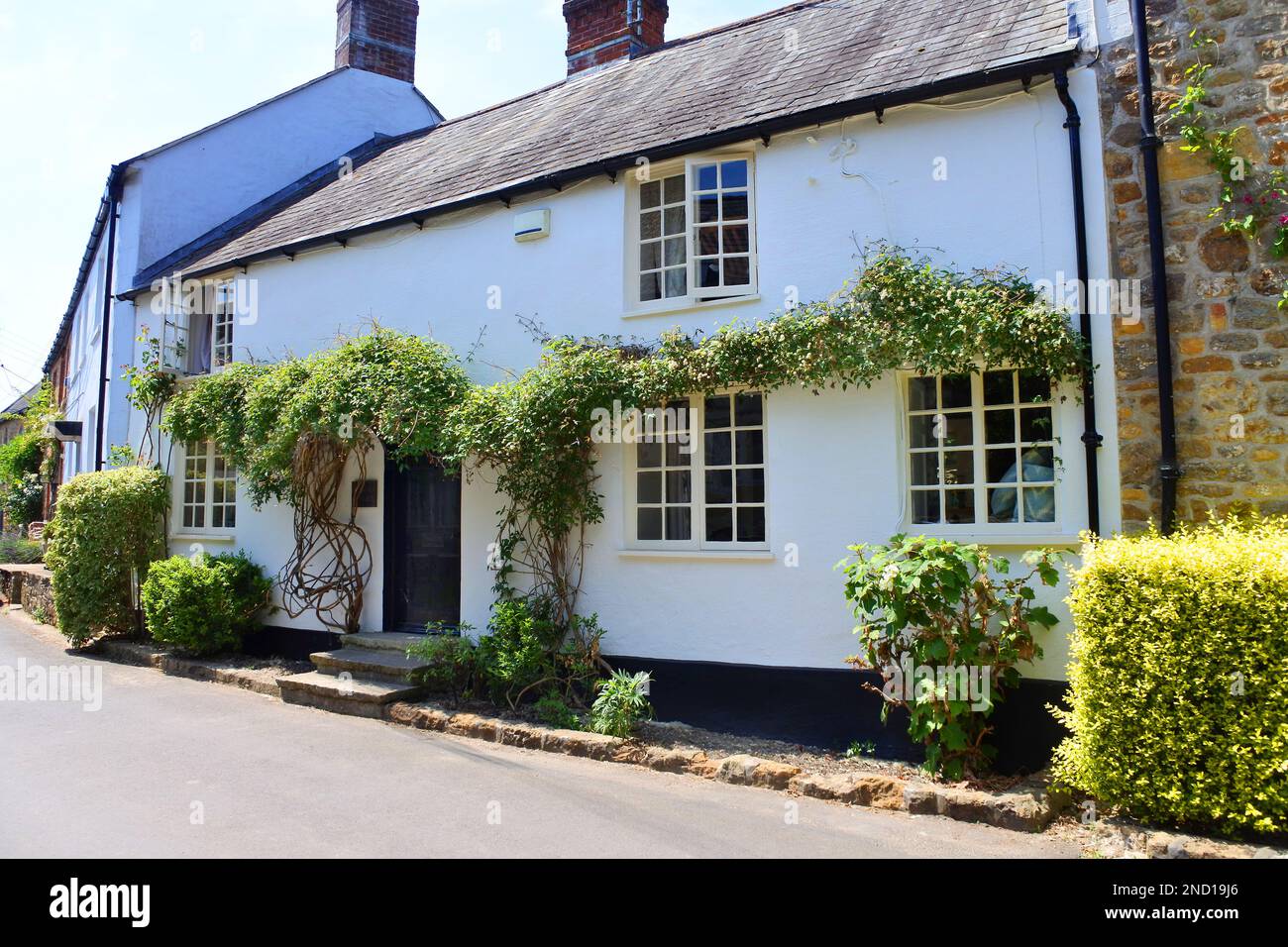 Terraced cottage in the heart of Netherbury, Dorset, UK - John Gollop ...