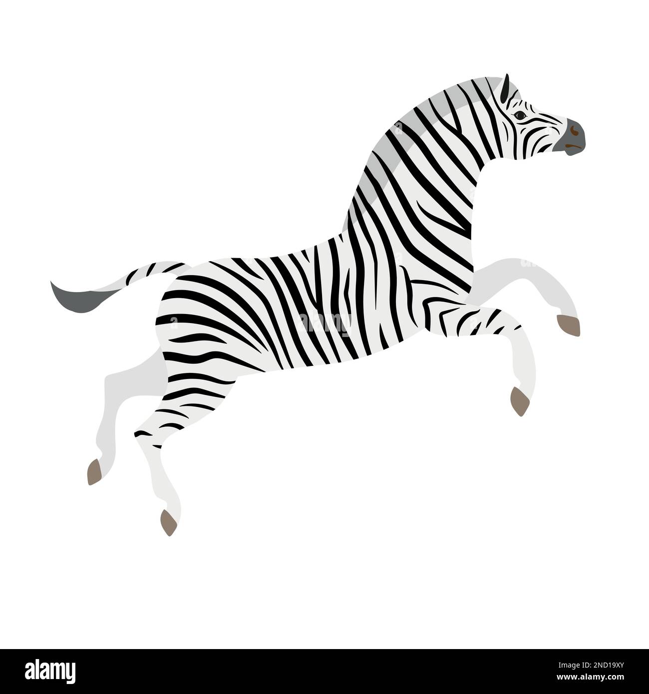 Vector flat hand drawn jumping zebra isolated on white background Stock ...