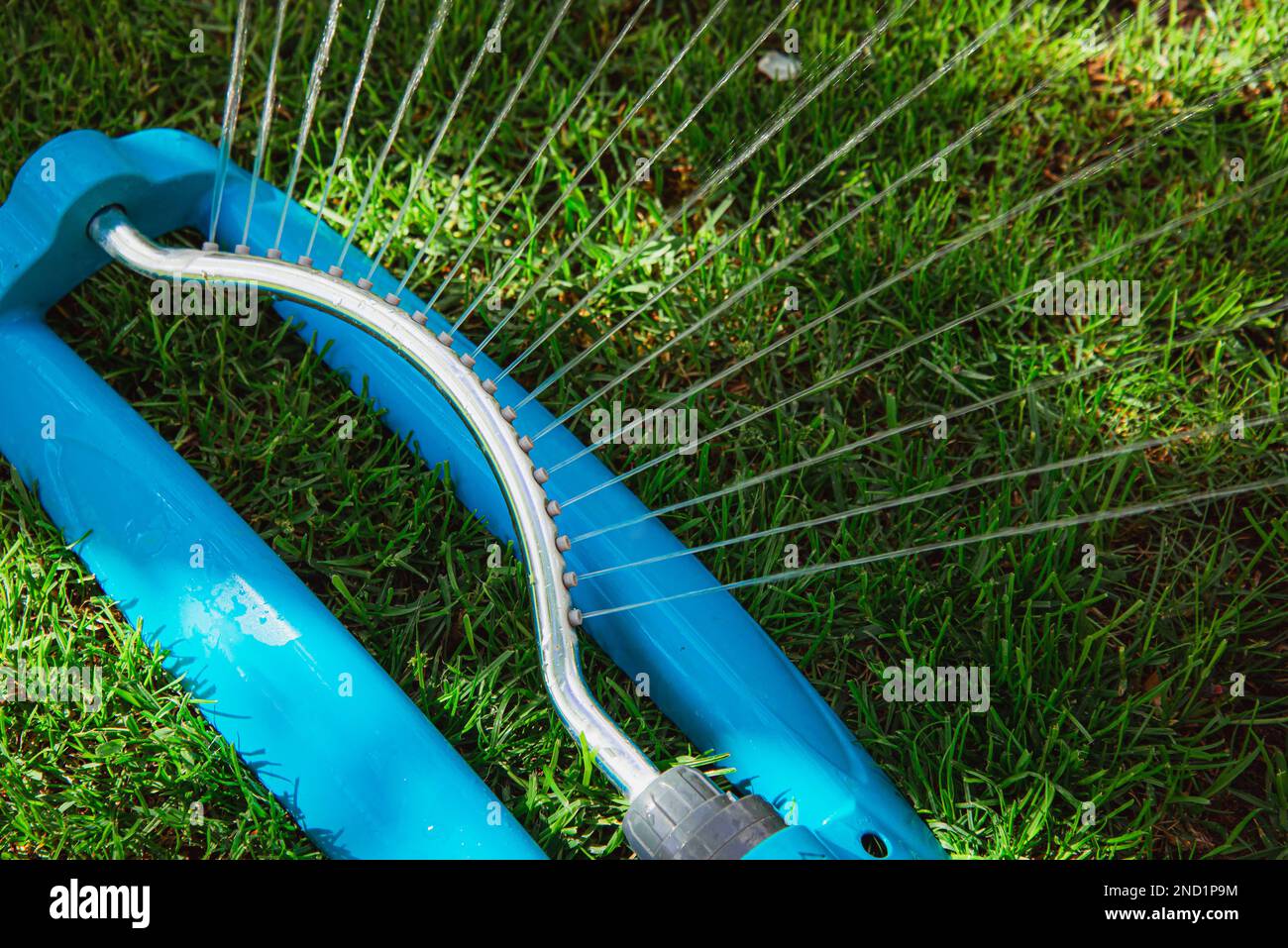 Modern oscillating sprinkler on the mown lawn in the garden Stock Photo ...