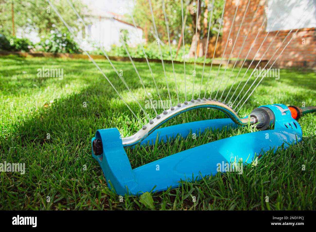 Modern oscillating sprinkler on the mown lawn in the garden Stock Photo ...