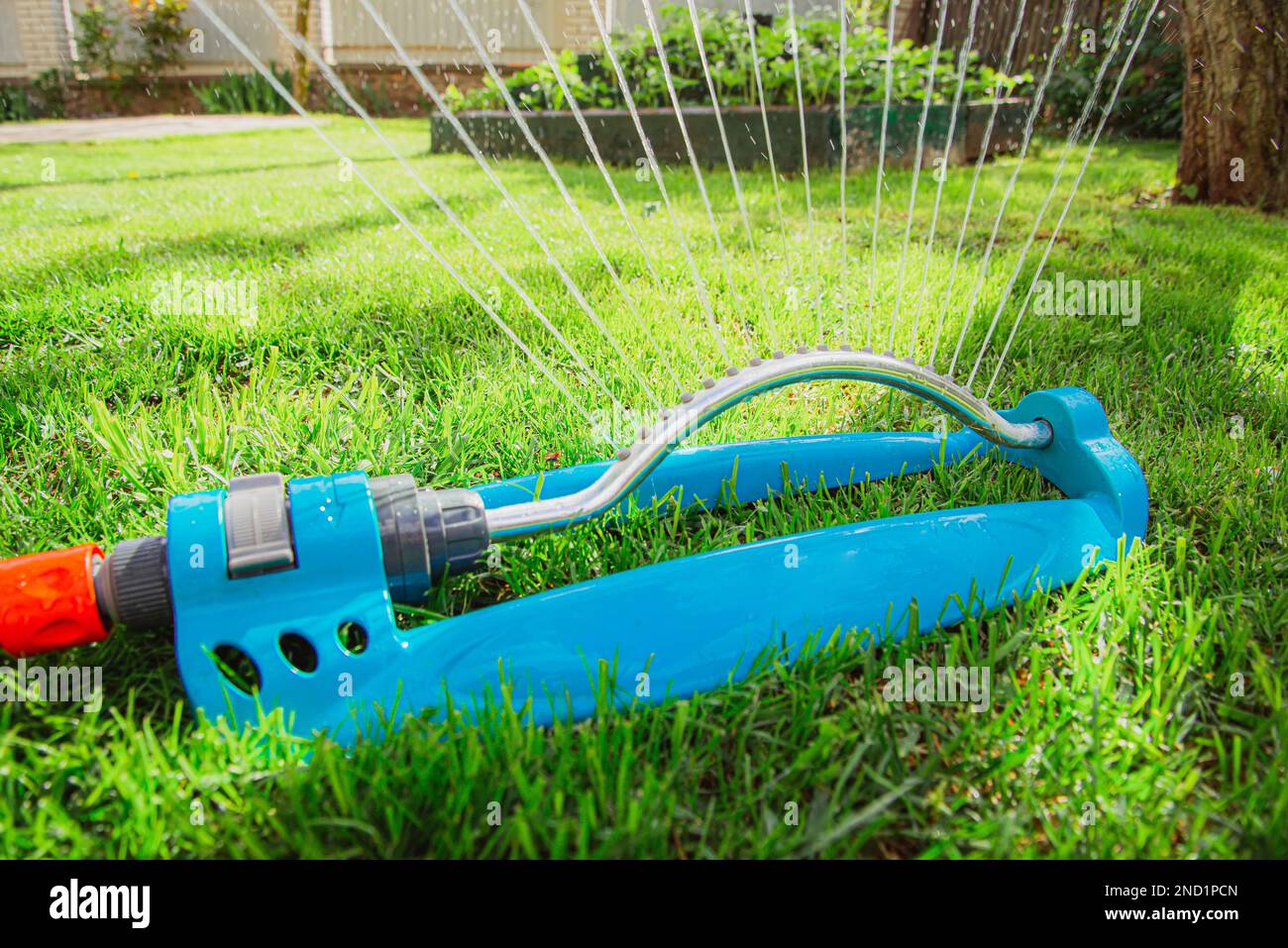 Modern oscillating sprinkler on the mown lawn in the garden Stock Photo ...