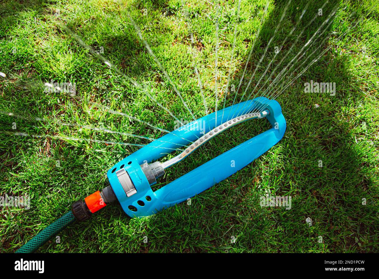 Modern oscillating sprinkler on the mown lawn in the garden Stock Photo ...