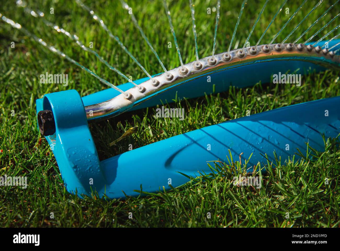 Modern oscillating sprinkler on the mown lawn in the garden Stock Photo ...