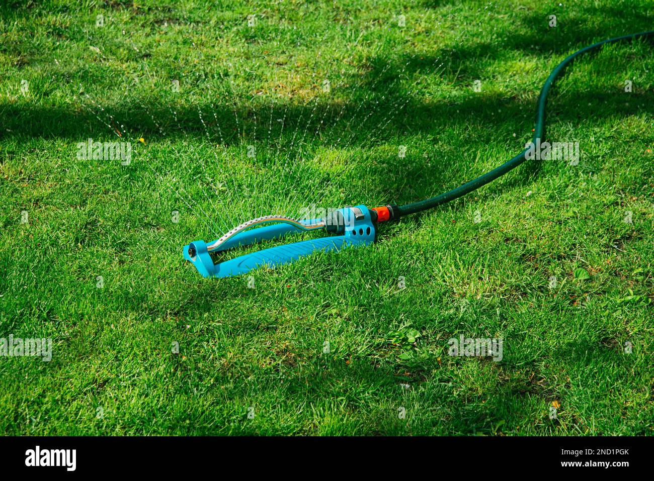 Modern oscillating sprinkler on the mown lawn in the garden Stock Photo ...