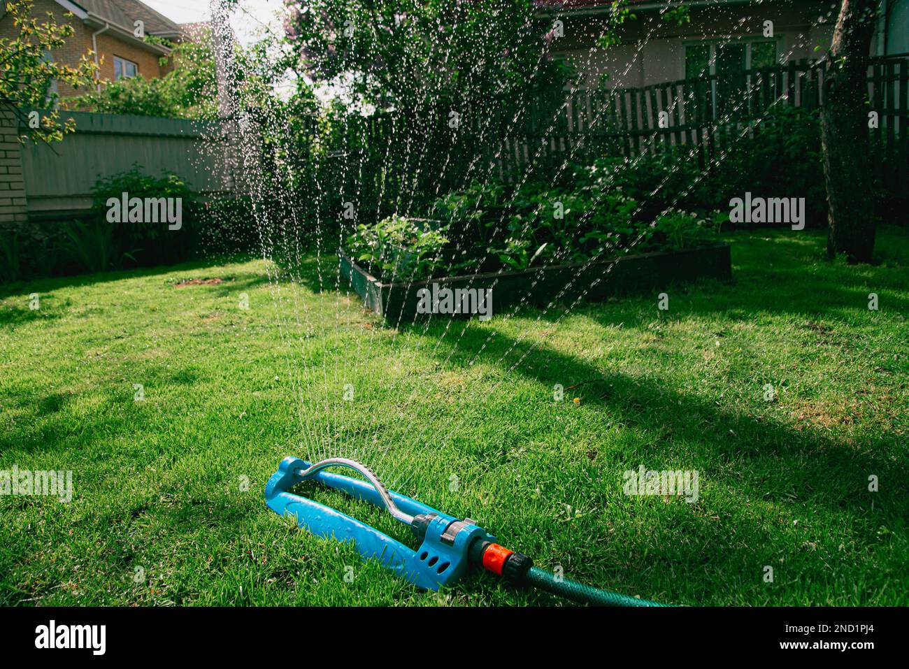 Modern oscillating sprinkler on the mown lawn in the garden Stock Photo ...