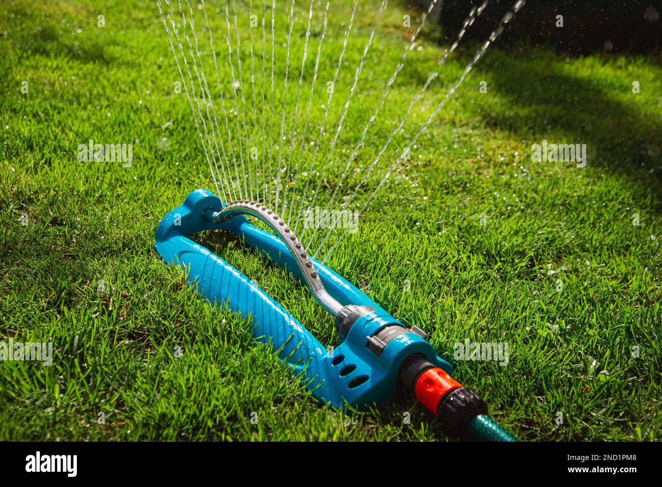 Modern oscillating sprinkler on the mown lawn in the garden Stock Photo ...
