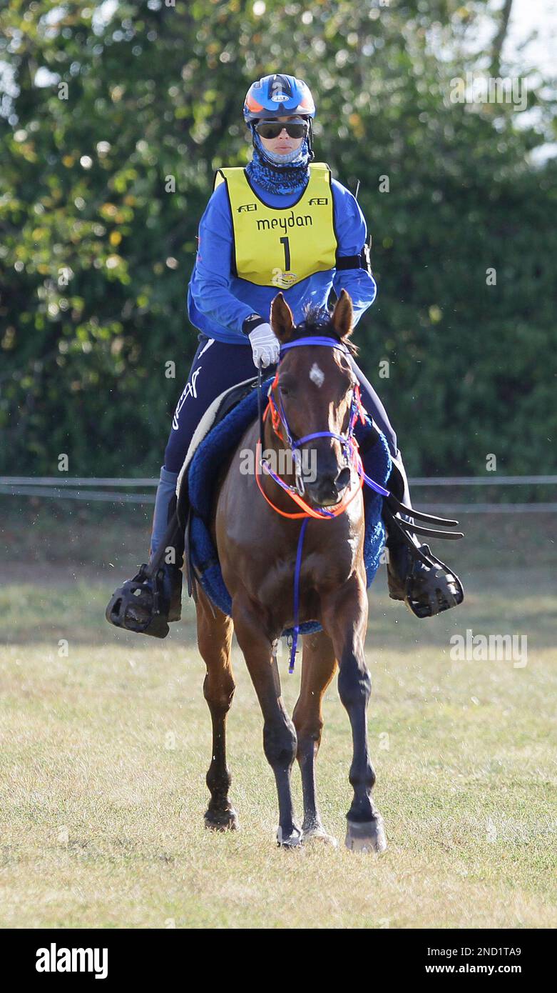 Maria Mercedes Alvarez Ponton from Spain rides Nobby on the last leg of ...