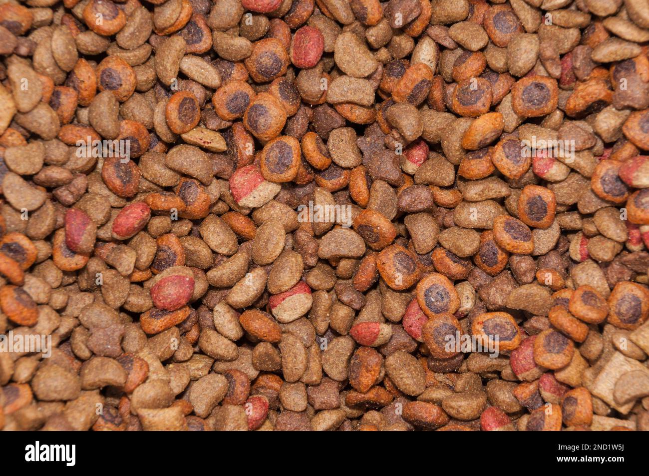 Texture, pet food (dog food Stock Photo - Alamy