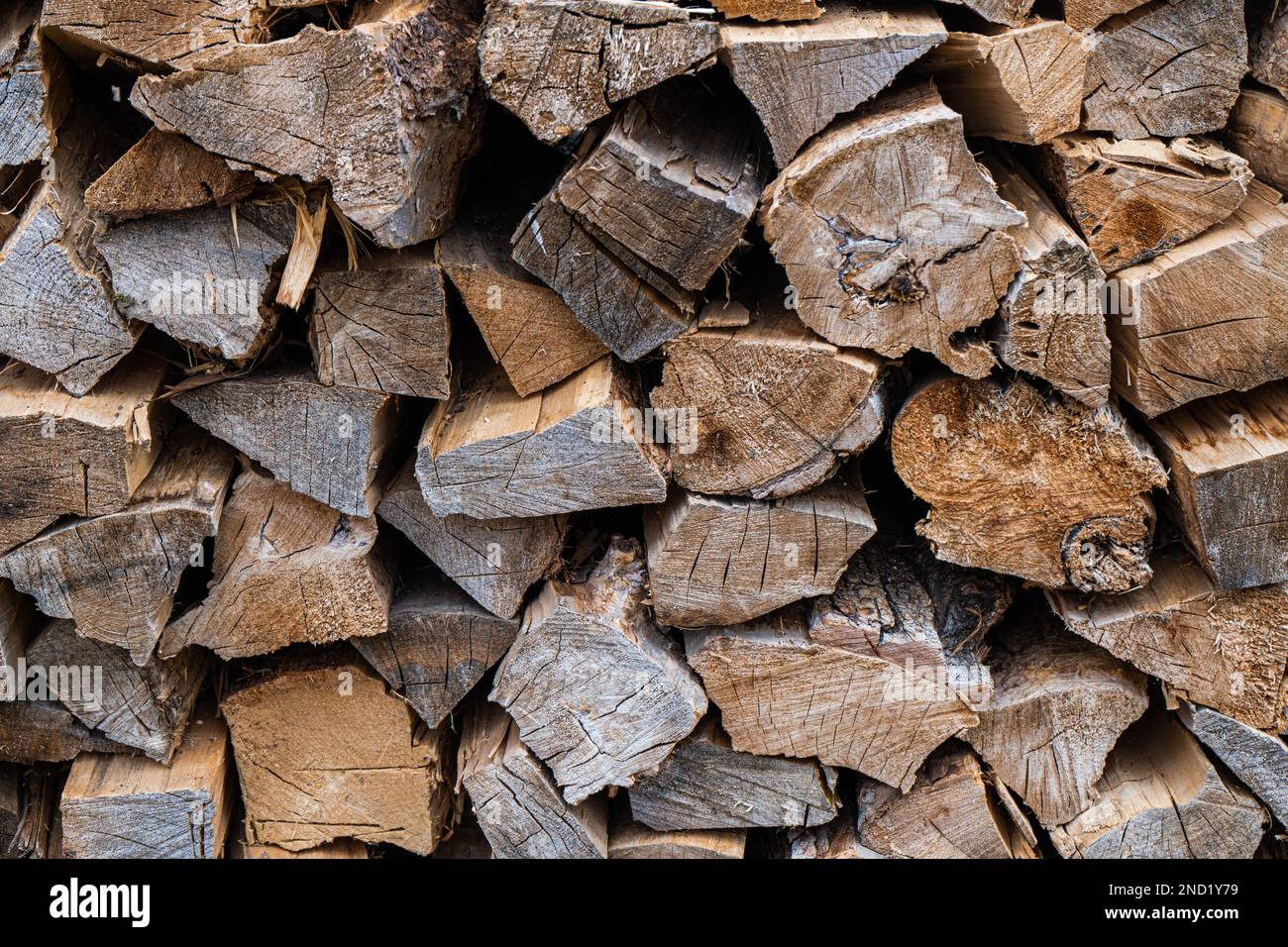 Pile of cut tree trunks and branches arranged together in fore stacked ...