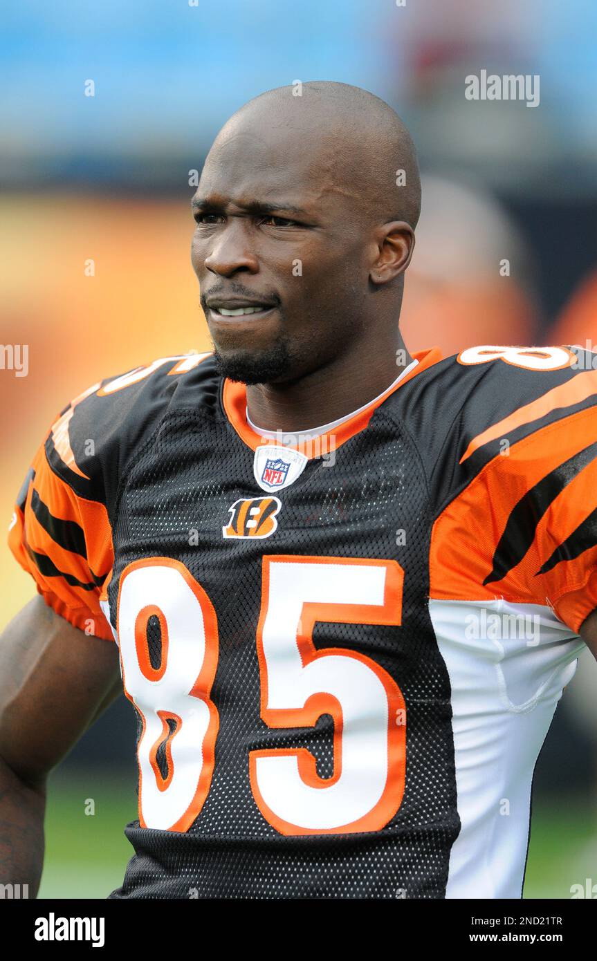 Cincinnati Bengals wide receiver Chad Ochocinco is shown before an NFL ...