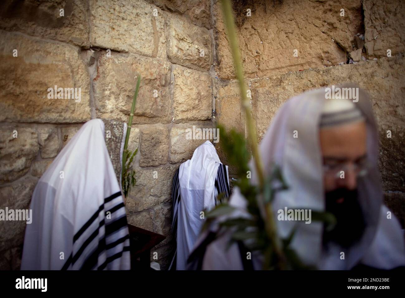 Israeli Ultra-orthodox Jews of the Cohanim Priestly caste participate ...