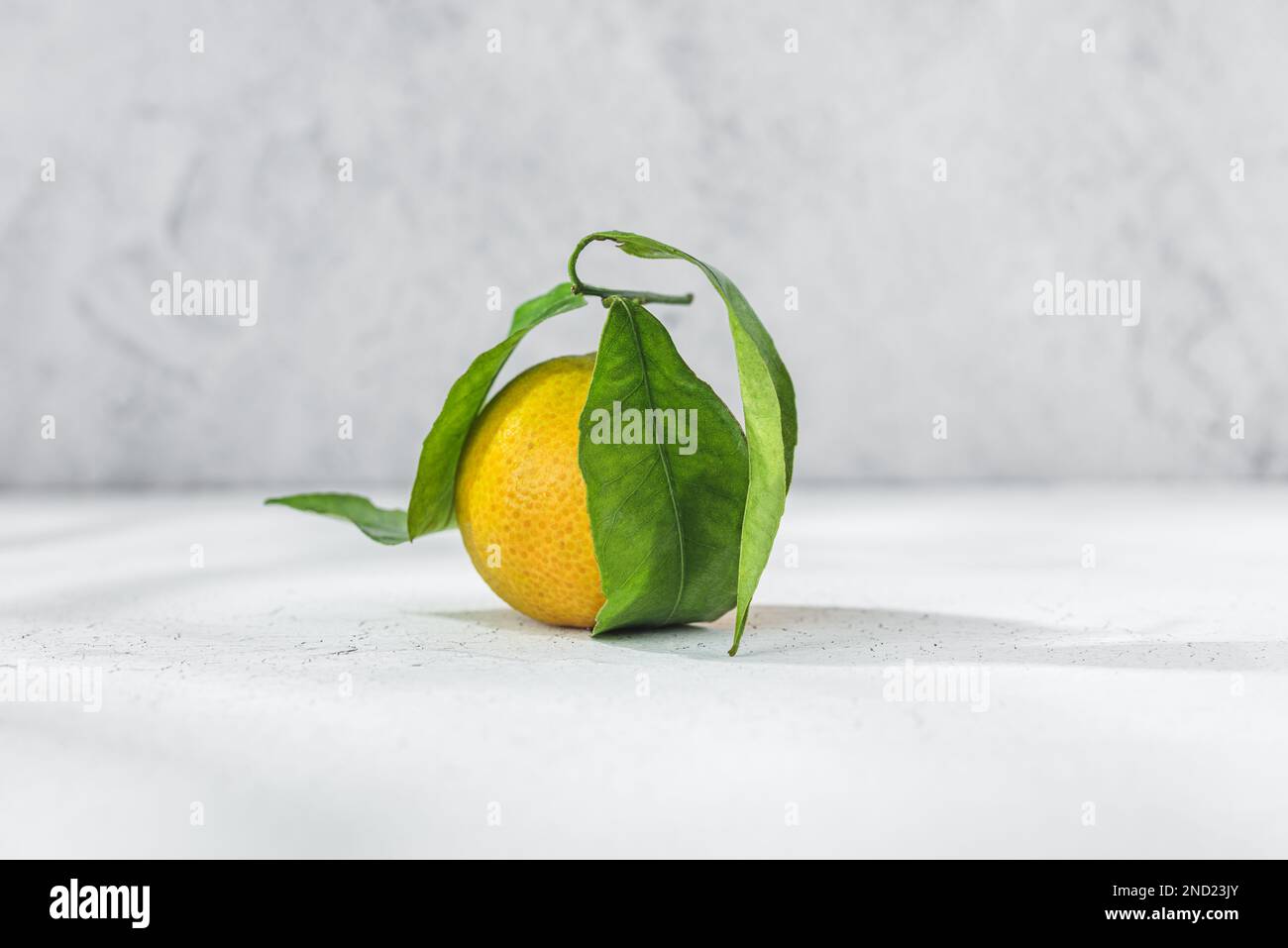 Orange citrus tangerine with verdant stem and leaf lying on white table ...