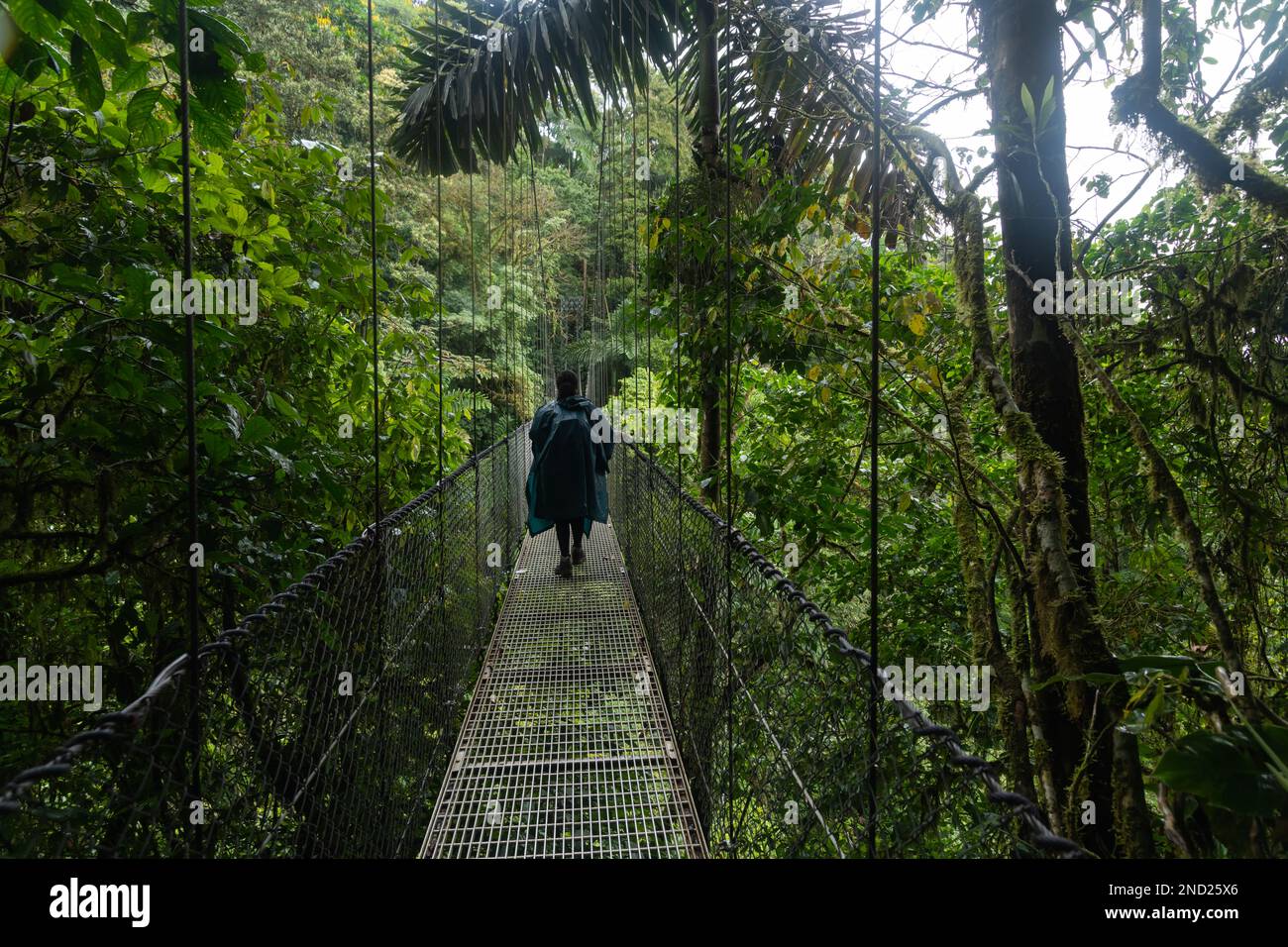 Back view of unrecognizable tourist with backpack walking on suspension ...