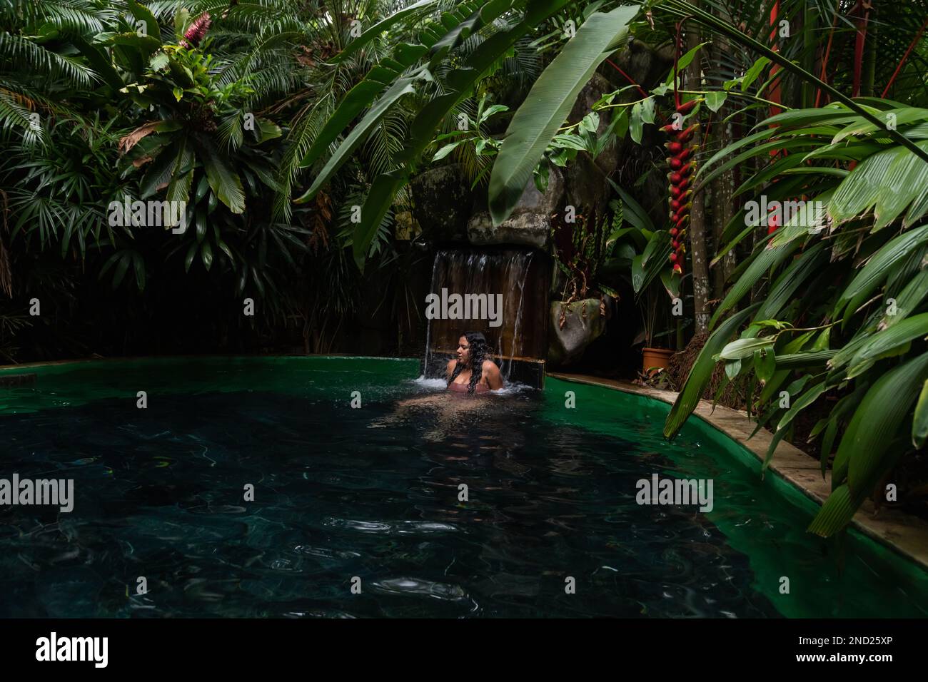 Relaxed female tourist swimming in pool surrounded by exotic plants ...